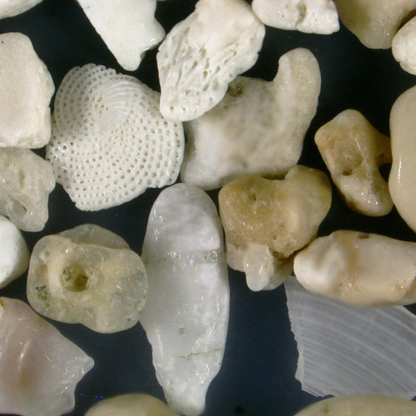Sand Under a Microscope - Magnified Sand Photos