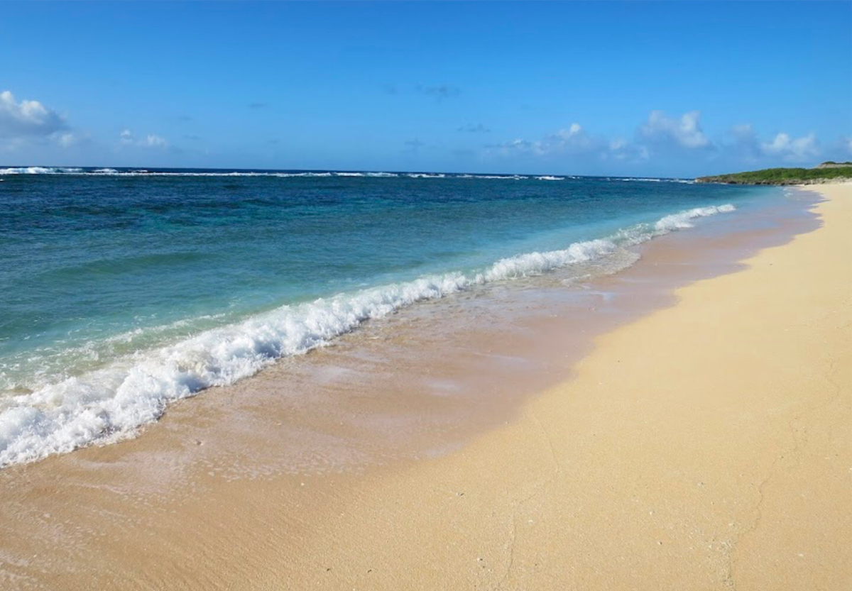 Minami Beach - Magnified Sand